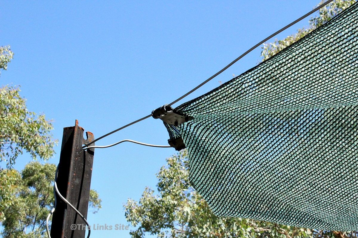 Sun Loving Plants Need Some Shade Too! - The Links Site