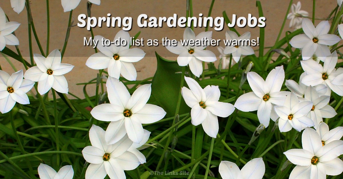 My To-Do List of Spring Gardening Jobs - The Links Site